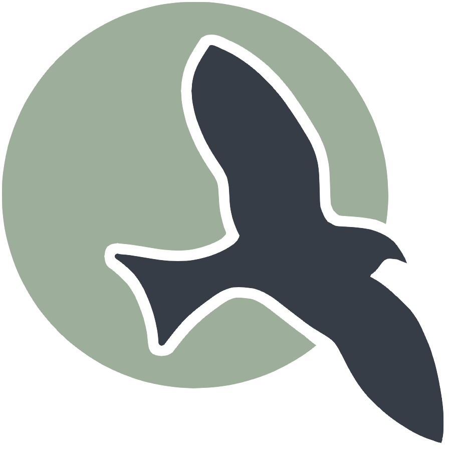 Web Programming Basics | Tucker’s Blog